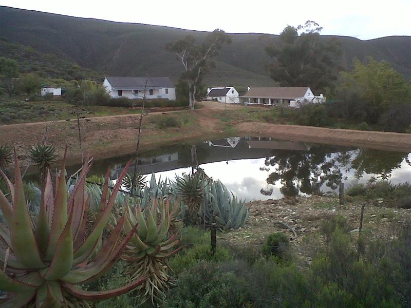 Watermill Farm, Van Wyksdorp, Western Cape | Weekend Getaway ...