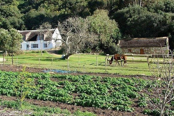 Rustfontein Guest Farm, Stilbaai, Western Cape | Weekend Getaway ...